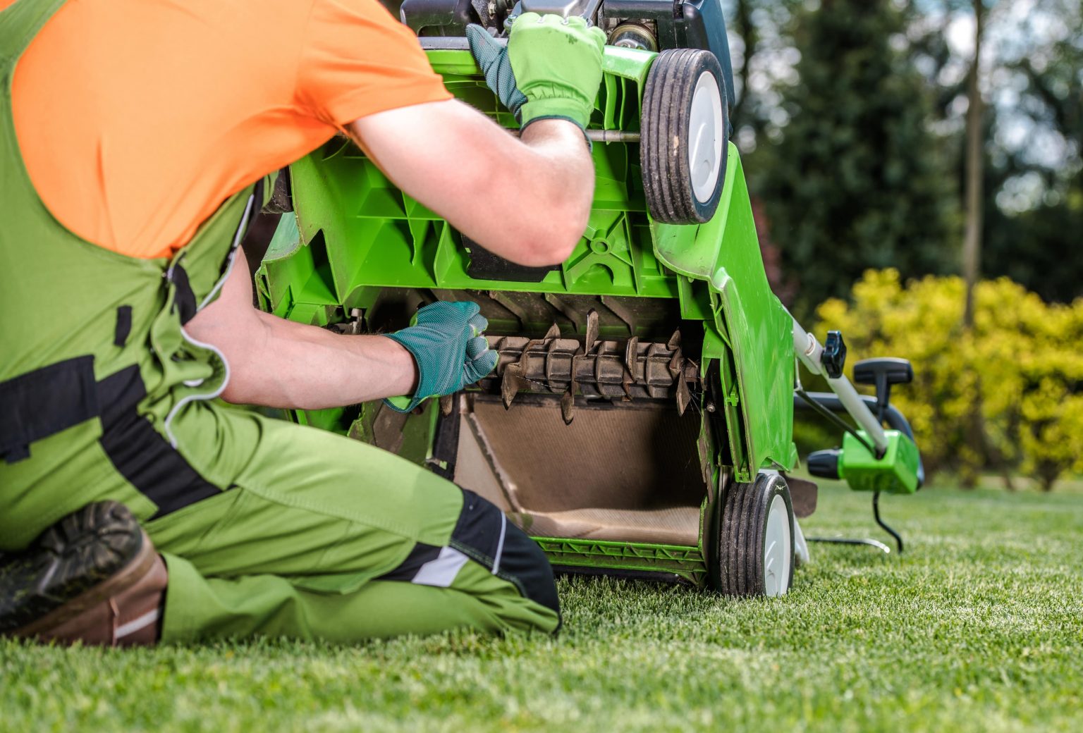 What Is Scarifying A Lawn? Why Scarify Your Grass