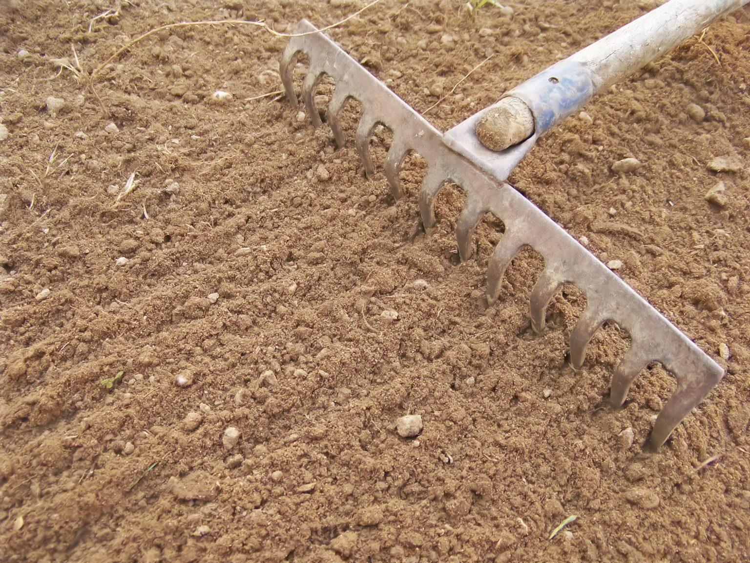 How Much Soil Does Grass Need To Grow? Ideal Topsoil Depth