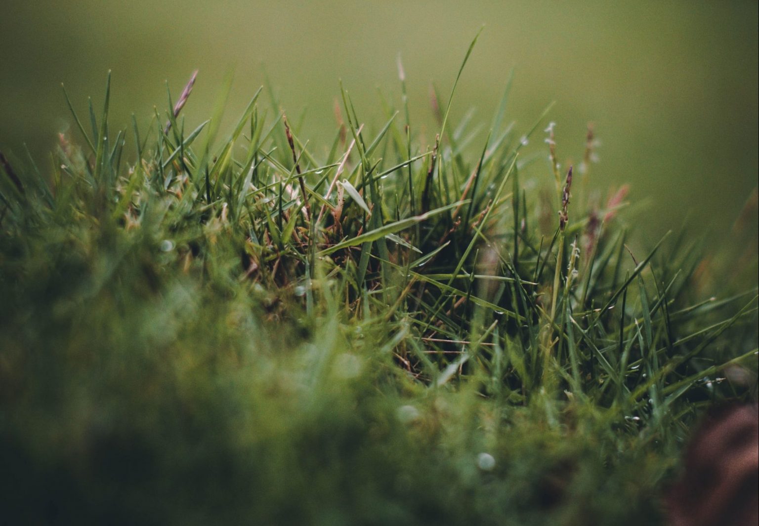 5 Best Lawn Mowers For Uneven Ground | Bumps, Hills, Slopes