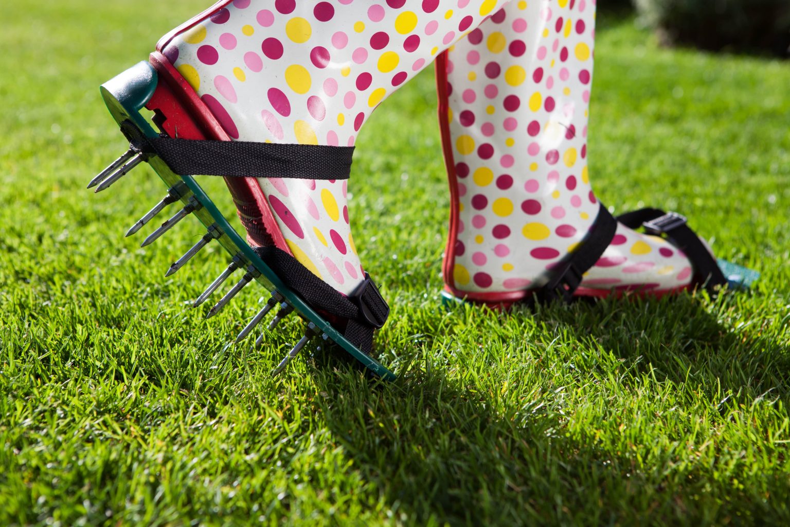 7 Best Lawn Aerators | Electric, Manual, Plug Aerators | UK